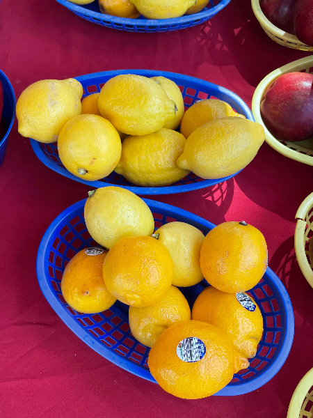 Lemons | Local Fresh Bag